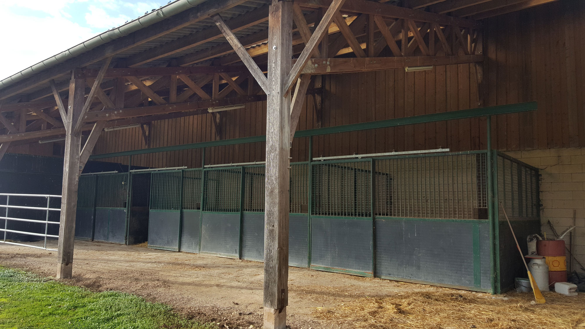 Reproduction cheval dans le Centre Vétérinaire Valère | Clinique ...